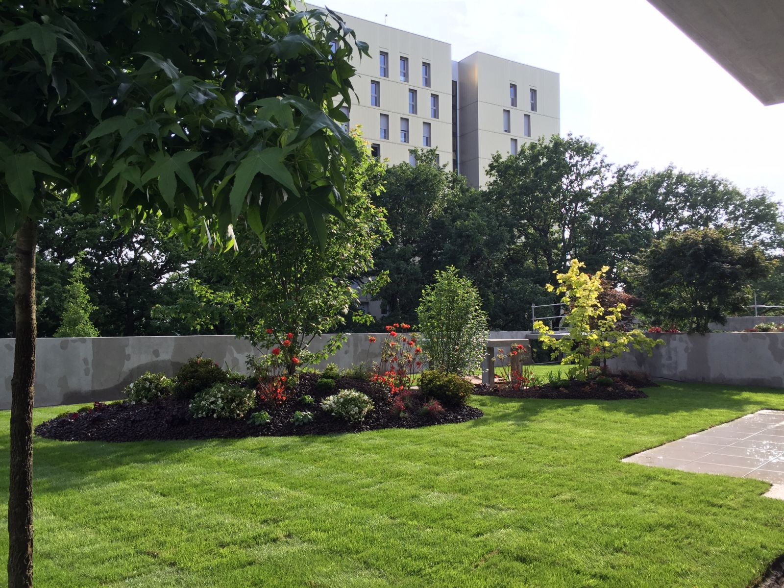 Aménagement d'espace verts pour promoteurs immobilier à Brest